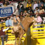Cowboys Of Color Rodeo – Let's Rodeo