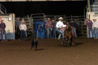 Cowboys Of Color Rodeo – Let's Rodeo