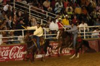 Cowboys Of Color Rodeo – Let's Rodeo